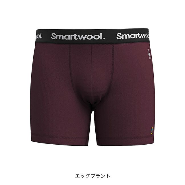 Smartwool スマートウール エブリデイメリノボクサーブリーフ メンズ